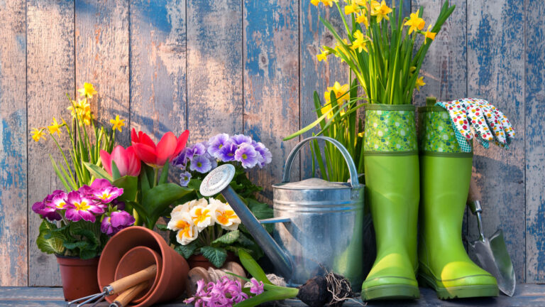 Spring Months: How to Enjoy Each Month of Spring - Partners in Fire