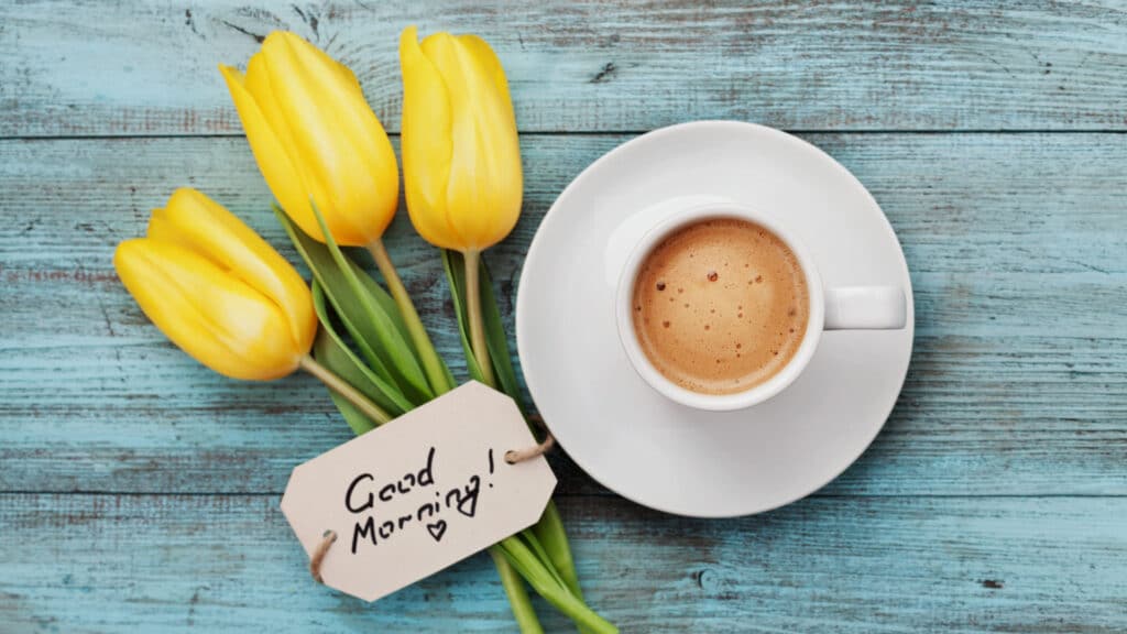 Rise and Shine Like a Pro: Morning Rituals That Will Transform Your Day ...