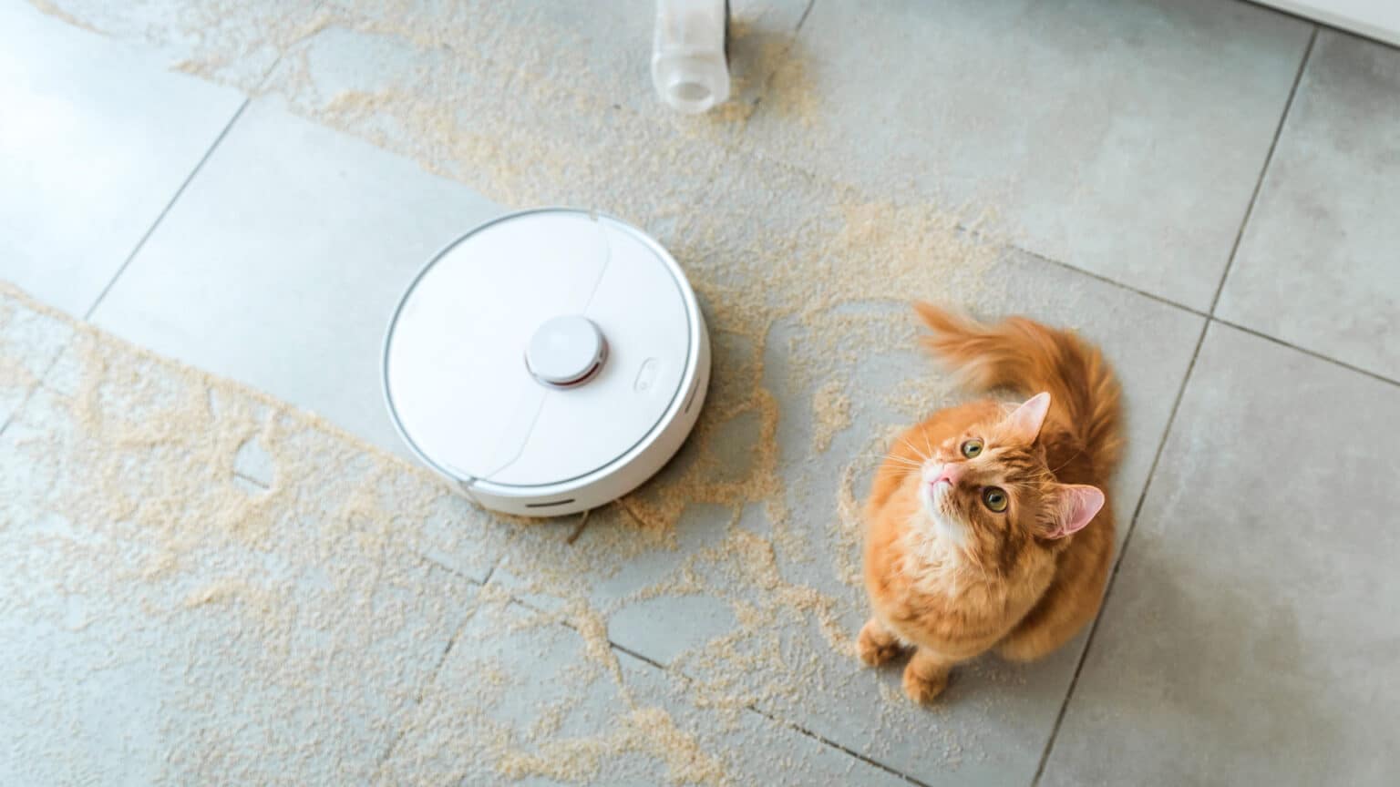 15 Products that Fly off the Shelves Despite Not Working as Advertised ...