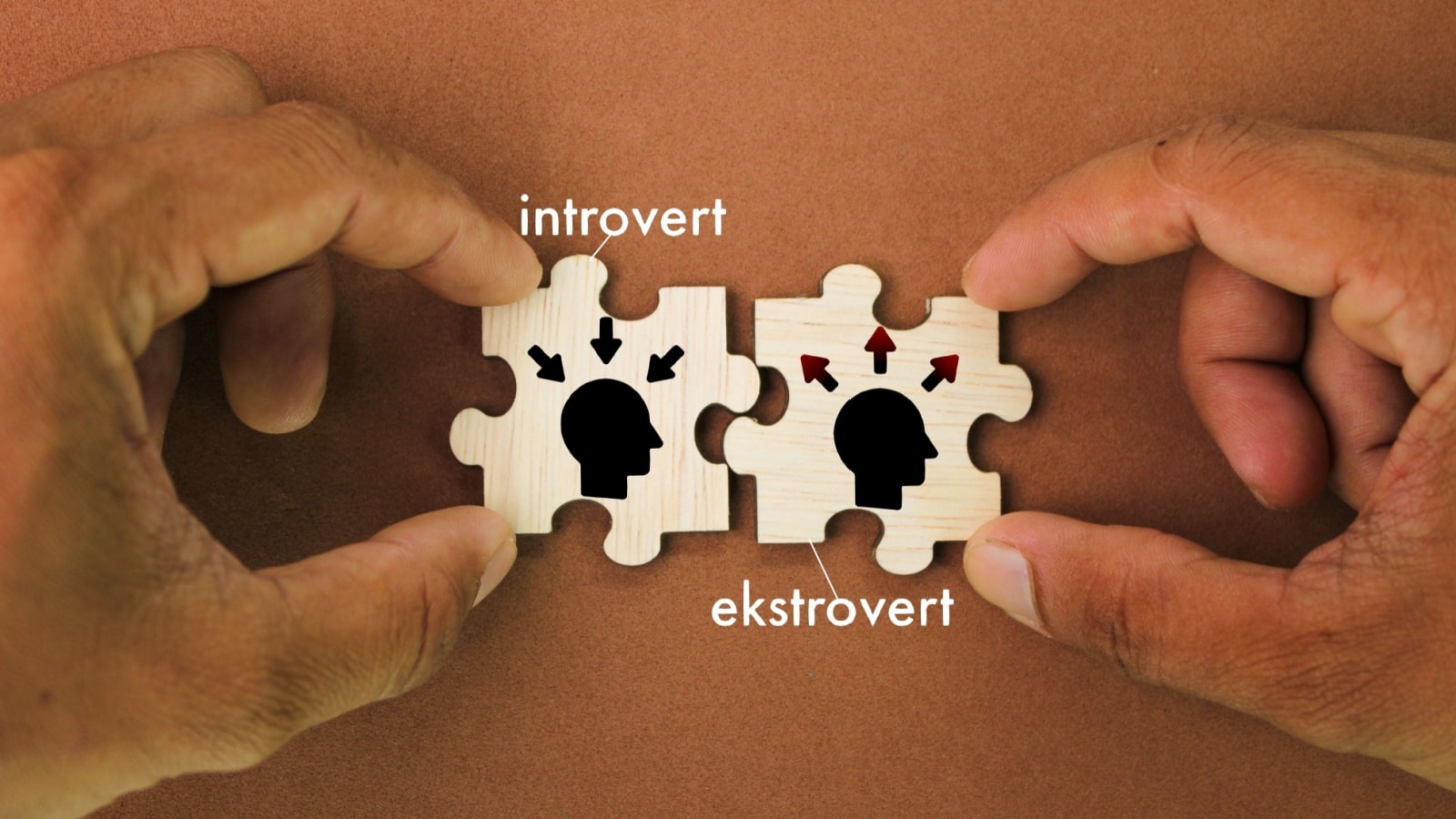 The Real Difference Between an Introvert and an Extrovert Explained ...